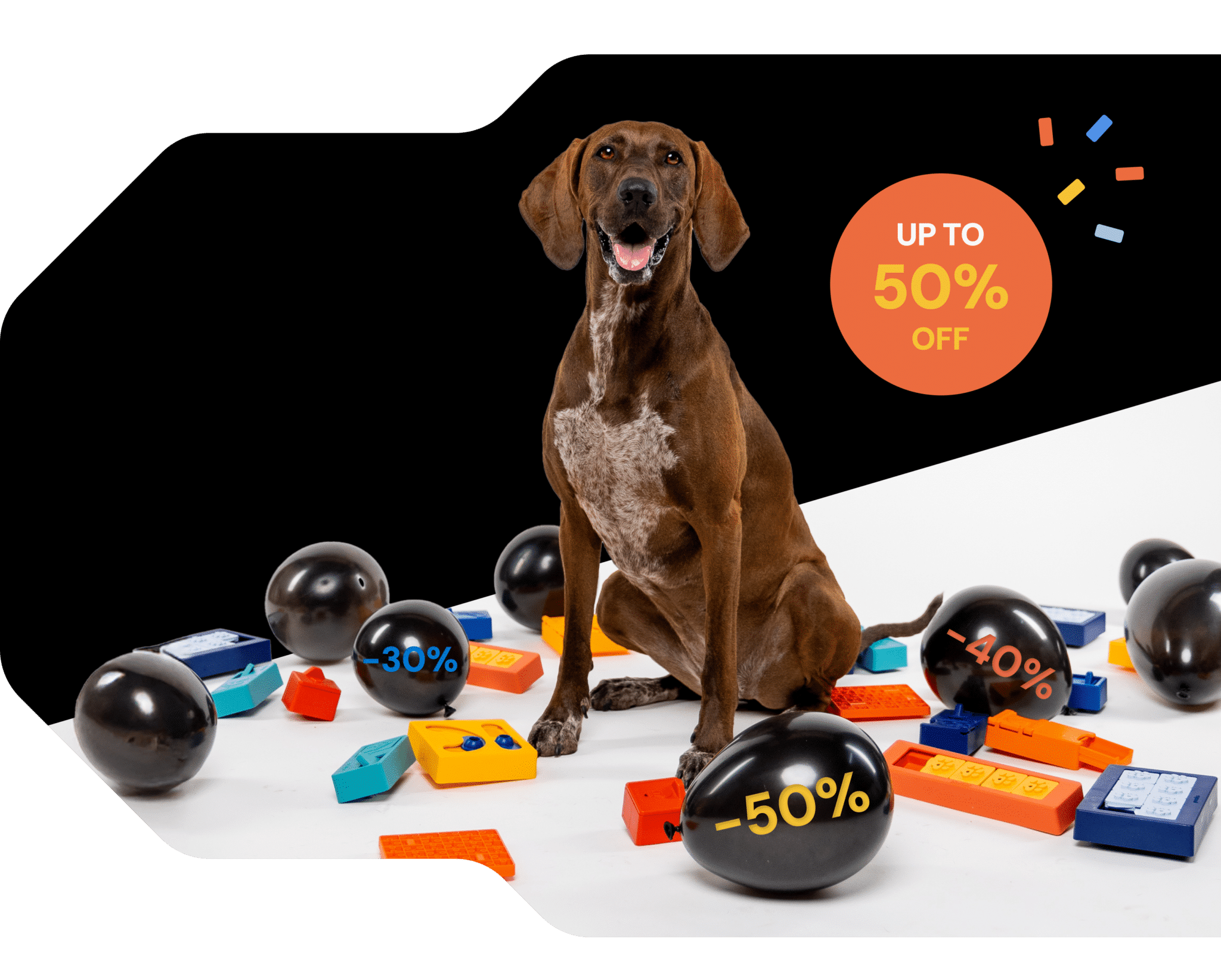 Pawzler - Innovative Modular Dog Puzzles